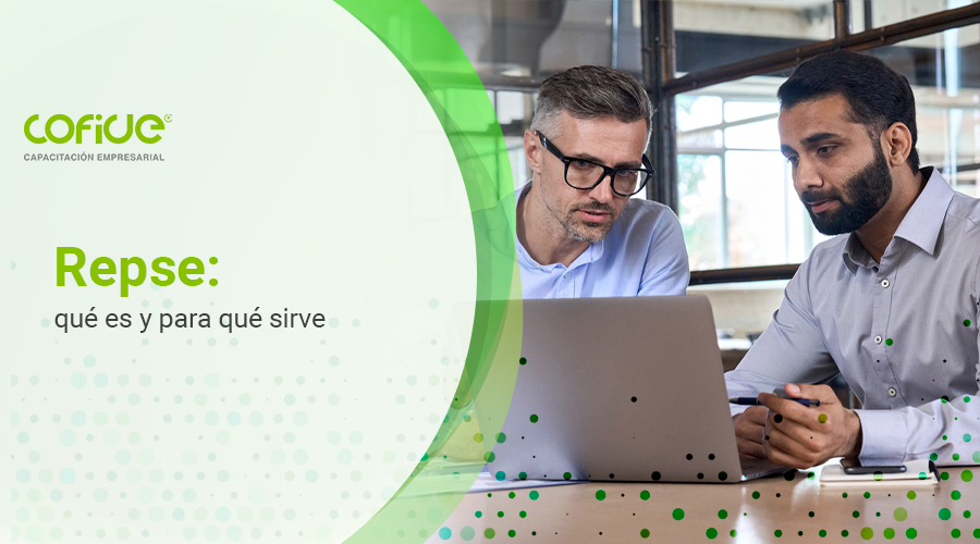 Repse: que és y para qué sirve